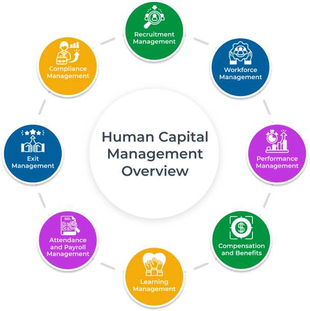 Automate HR Processes | Manage Teams Effectively | Dubai, UAE